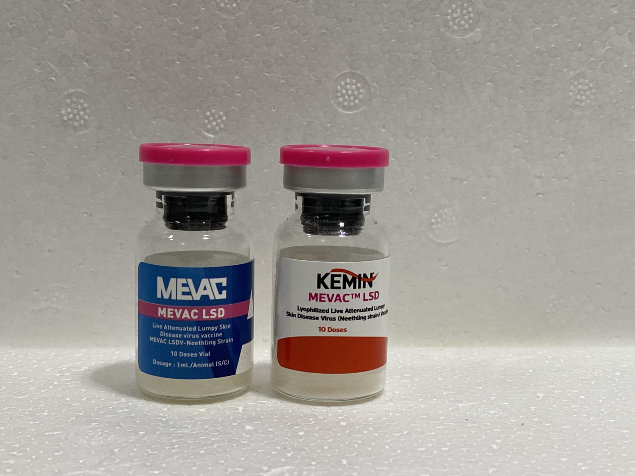 MEVAC LSD VACCINE PHÒNG VIÊM DA NỔI CỤC - DrBo Vietnam